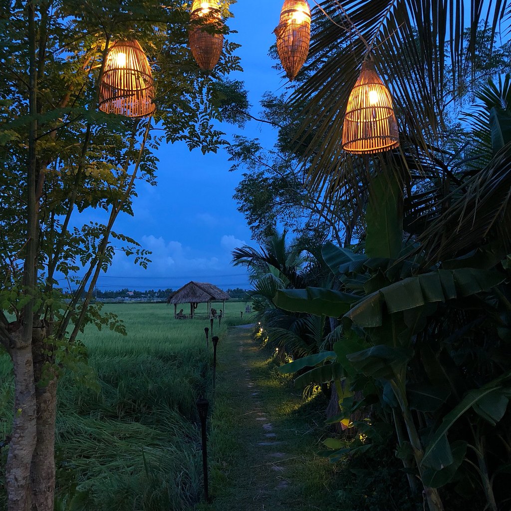 Rice Field Restaurant Hoi An – Global DMC
